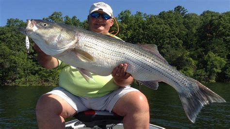 Best Fishing Spots Near Kansas City, Missouri (Fishing River ...