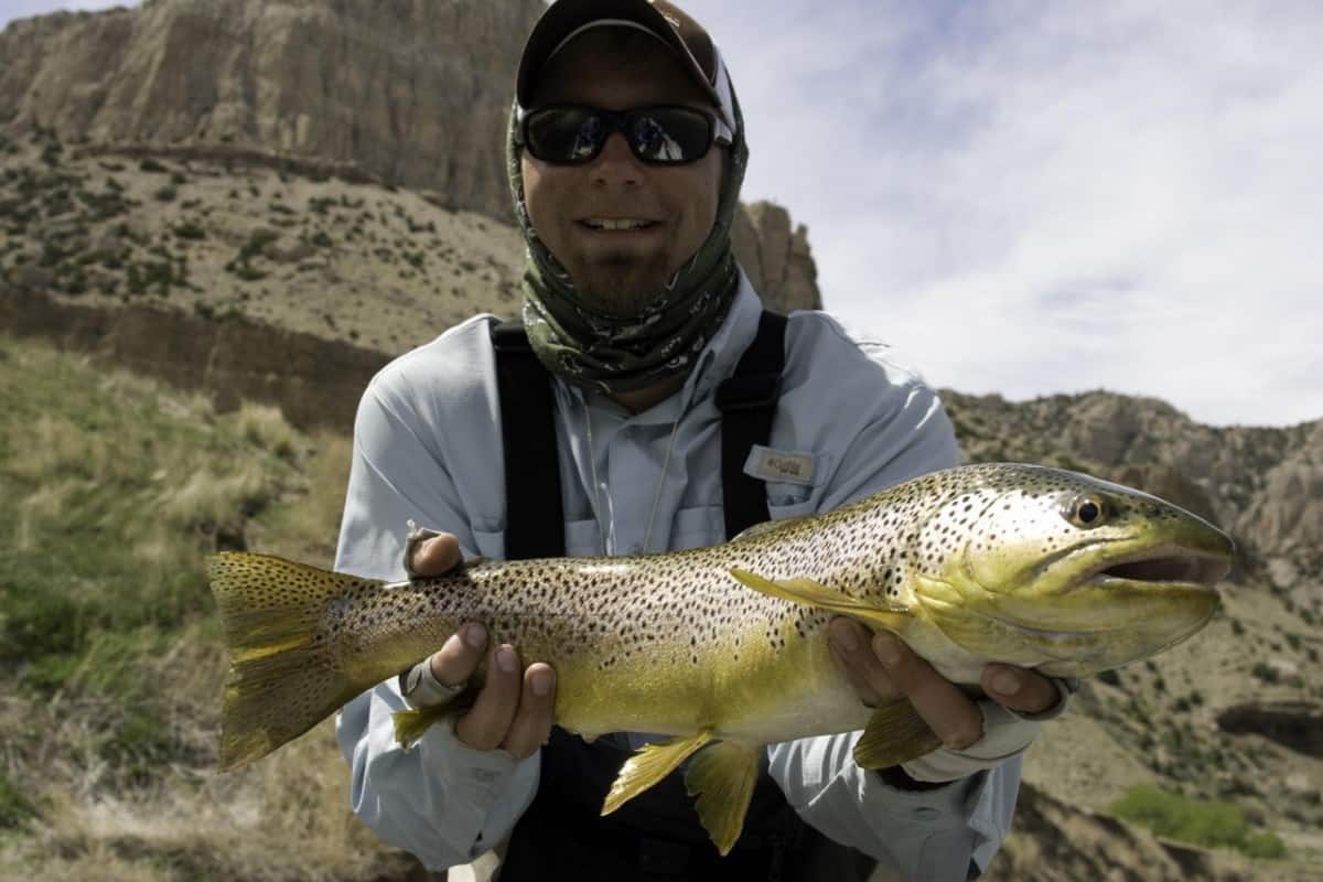 Best Fishing Spots Near Moran (Grand Teton National Park ...
