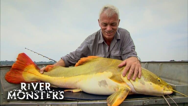 Jeremy Wade's UNEXPECTED and ACCIDENTAL Catches | River Monsters ...
