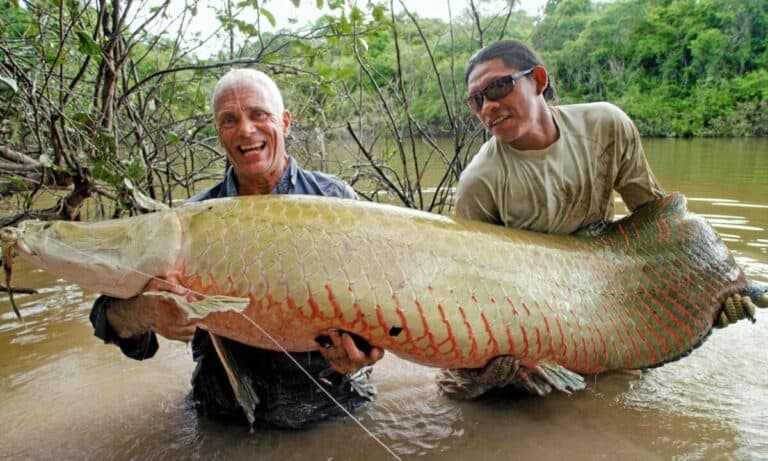 Jeremy Wade's UNEXPECTED and ACCIDENTAL Catches | River Monsters ...
